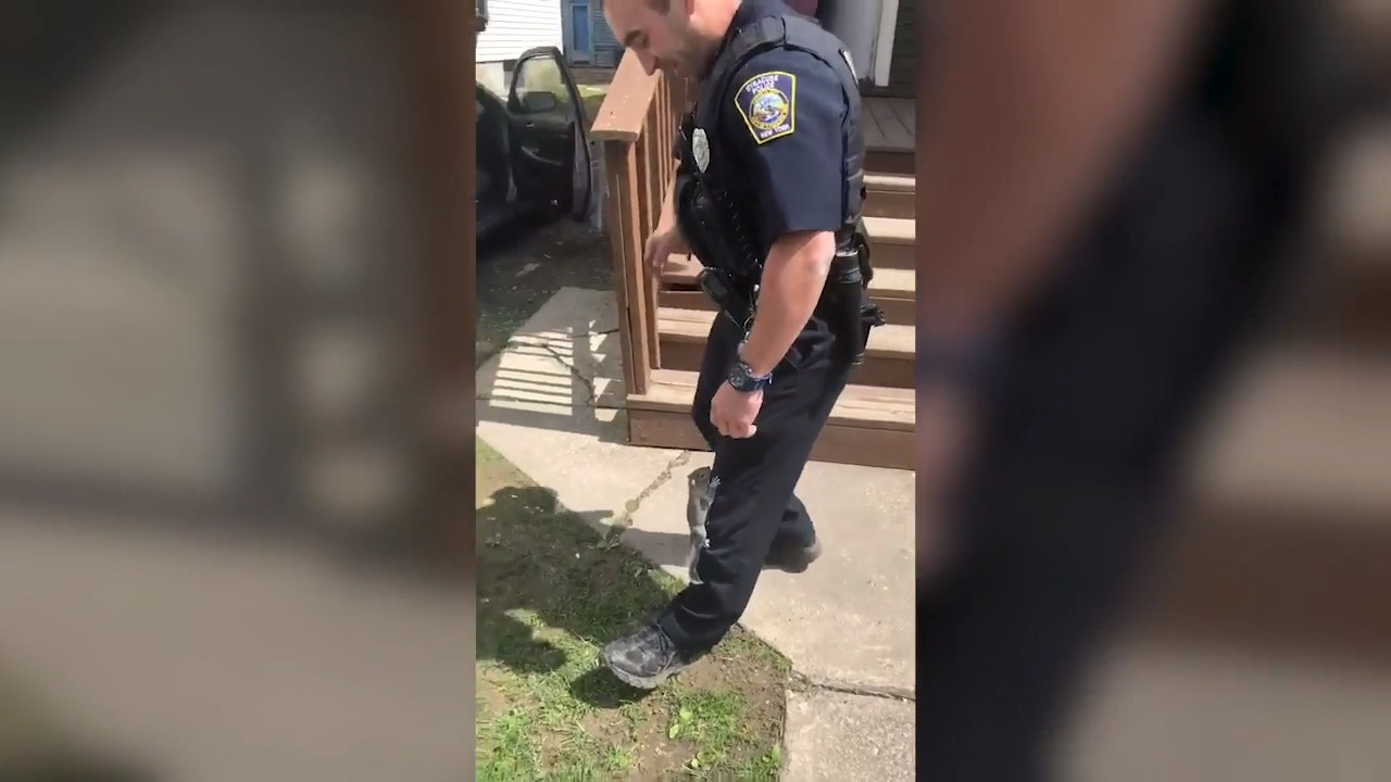 Squirrel hangs on to Syracuse Police Department officer in New York ...