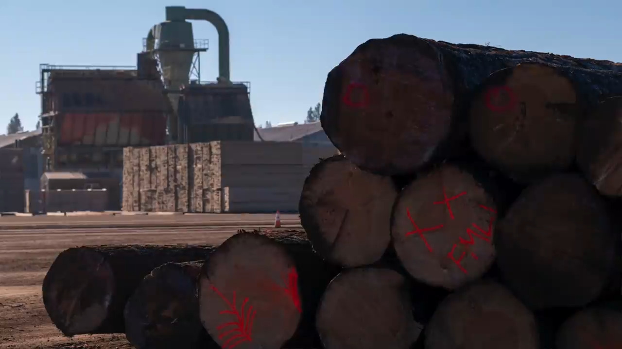 Video: Burned trees fill Chester CA sawmill after Dixie Fire ...