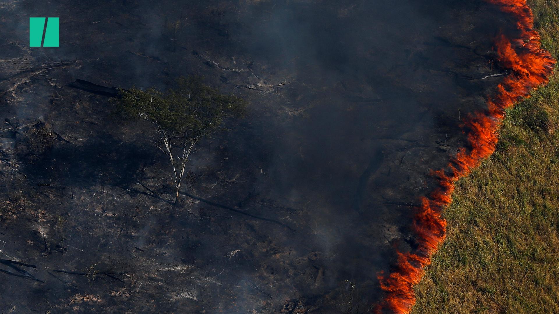 Wildfires Hit A Record High In The Amazon As Deforestation Accelerates ...