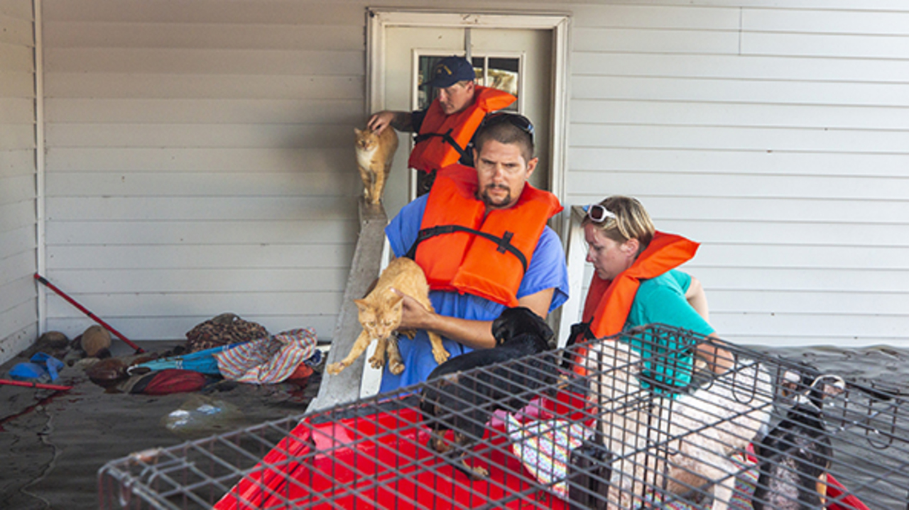 Pets remaining in flooded community rescued with the help of local ...