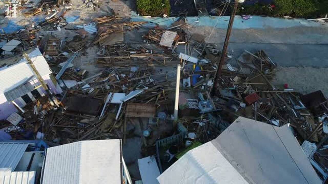 How Florida Keys reporter survived after dog attack | Miami Herald