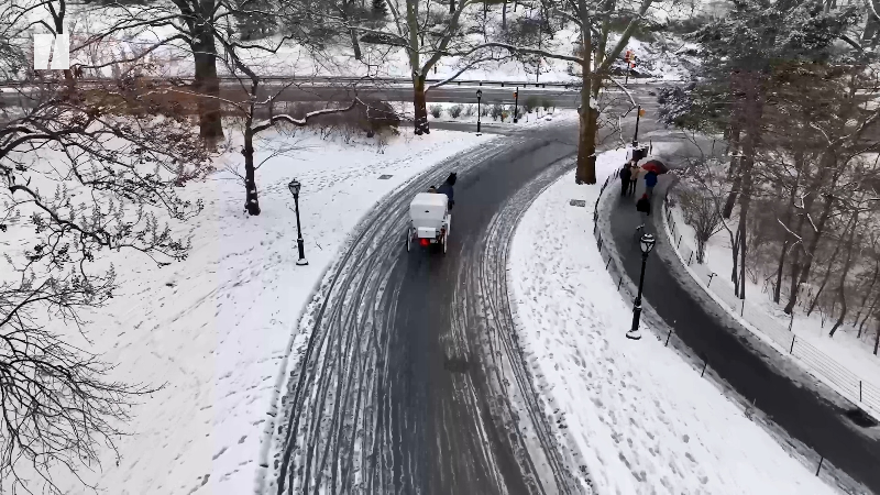 Former College Ski Racing Champion Ellery Curtis Dead At 26 | HuffPost ...