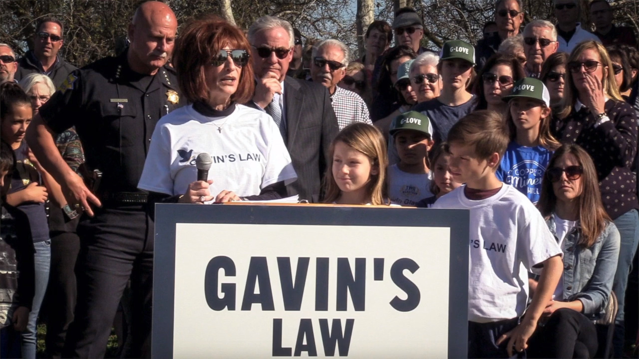 Families testify in Sacramento in support of Gavin’s Law | Fresno Bee