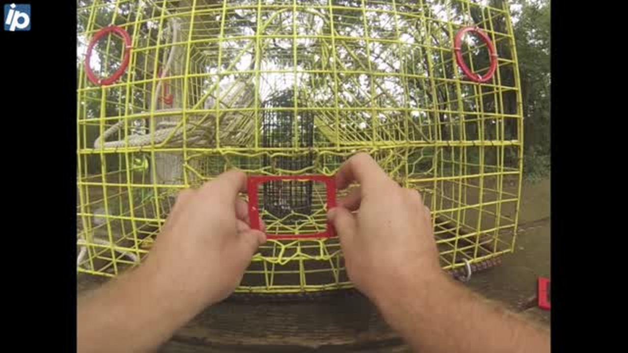 How to install an excluder device to your crab trap | Hilton Head ...