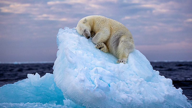 Trending Now Weather Videos | AccuWeather