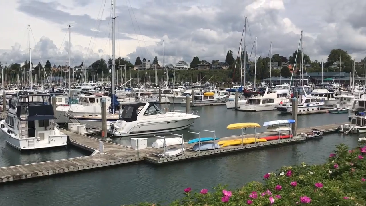 Squalicum Harbor is home to 1,400 boats in Bellingham Bay | Bellingham ...
