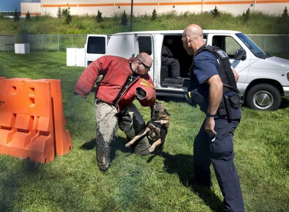 K9 competition is a chance for police dogs to show off | Kansas City Star