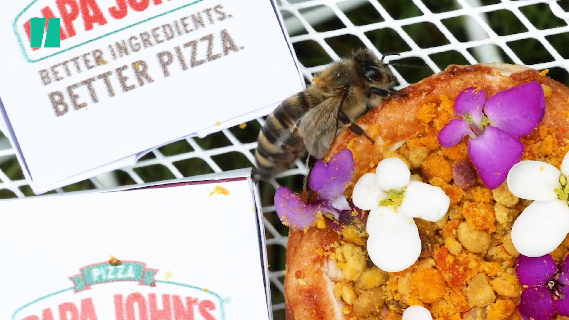 The World’s First Pizza For Bees | HuffPost UK Life