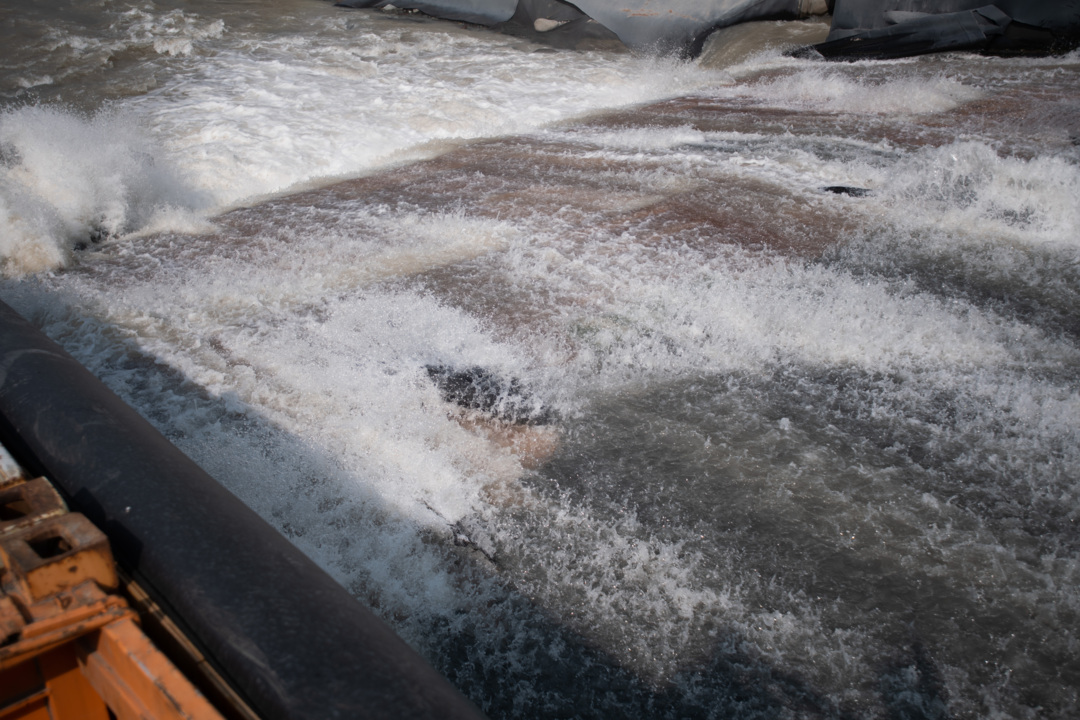 Puyallup Tribe sues Electron Hydro for killing salmon, trout | Tacoma ...