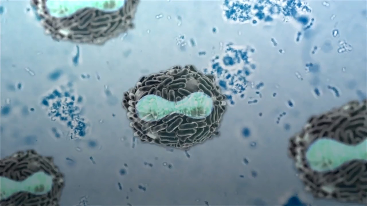 What you need to know about polio vaccines and boosters | Raleigh News ...