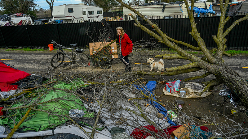 Video: Tree fall traps Sacramento CA homeless woman in tent ...
