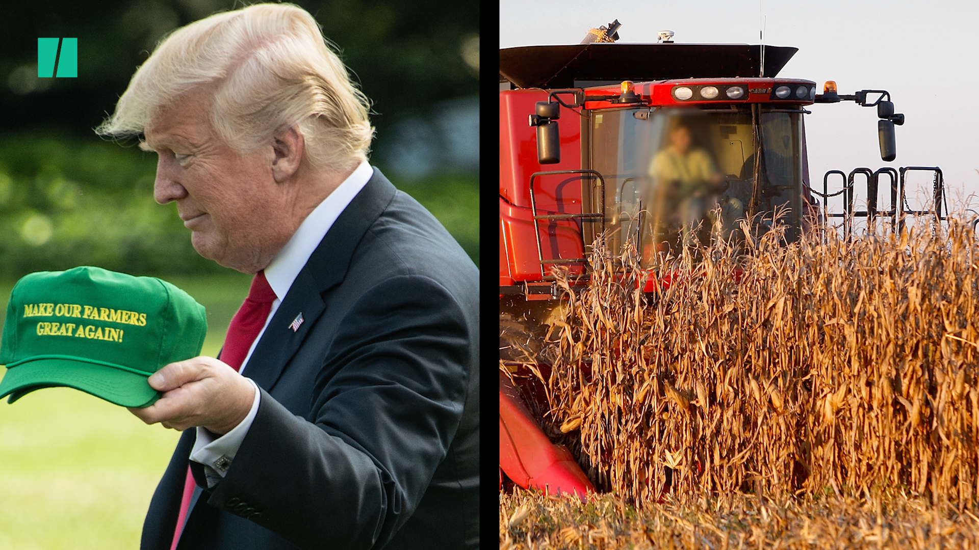 Fed-Up Farmer’s Message To Trump: I Wouldn’t Vote For You If You Walked ...
