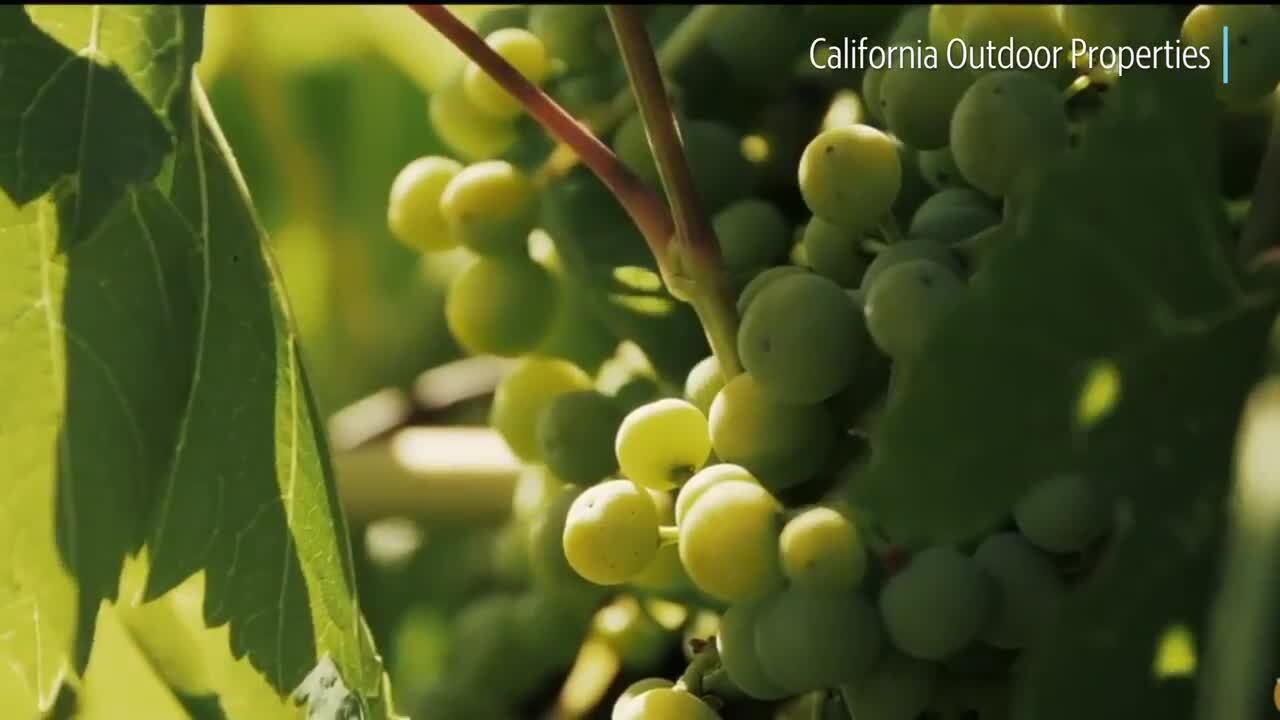 Winemaker buys Ukiah CA wine appellation Cole Ranch | Sacramento Bee