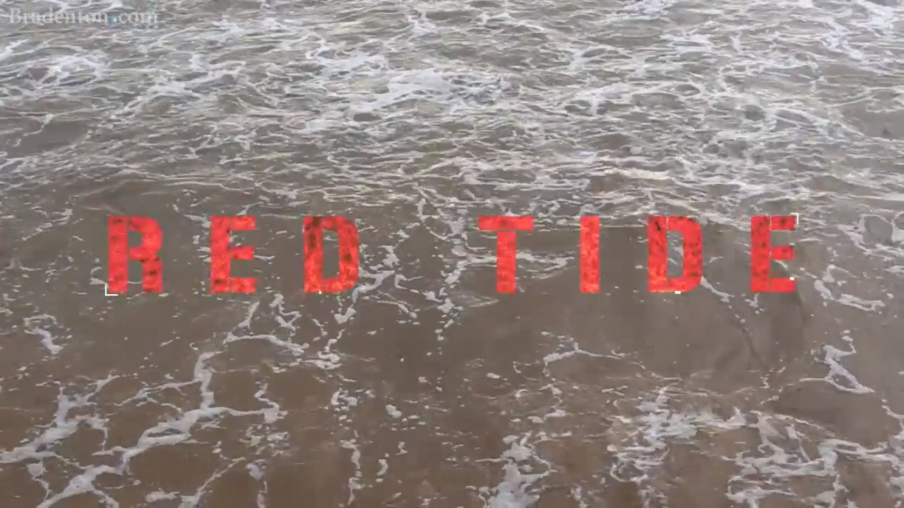 Red tide: what it is and why it is in Florida | Miami Herald