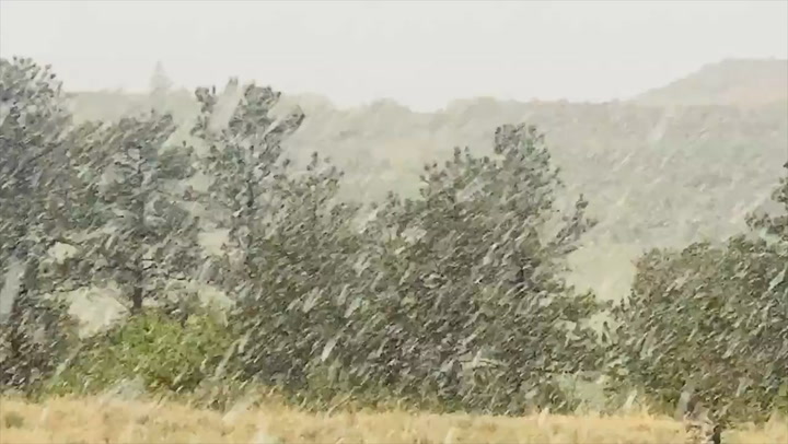 Trending Now Weather Videos | AccuWeather