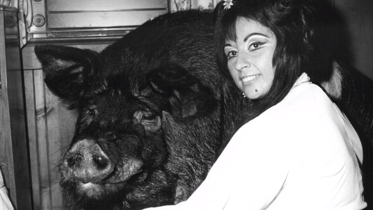 The magical story of a teacher, her students and Arnold the 800-pound ...