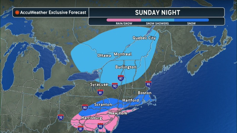 Expert Forecasts Weather Videos | AccuWeather