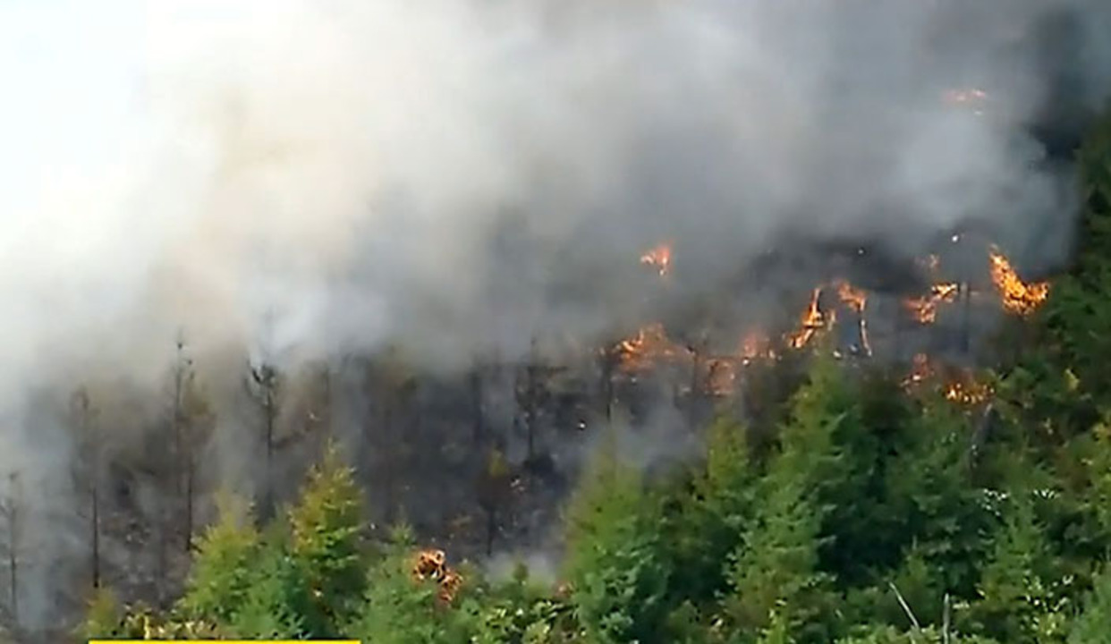 Brush fire near Bonney Lake prompts Level 1 evacuation notice | Tacoma ...