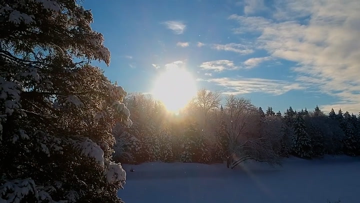 Trending Now Weather Videos | AccuWeather