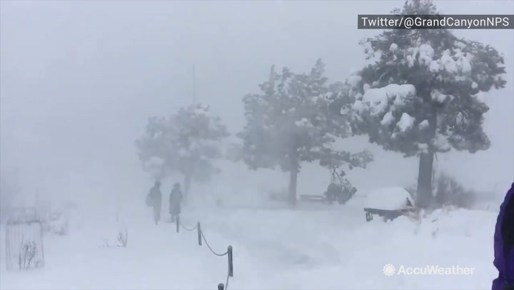 Trending Now Weather Videos | AccuWeather