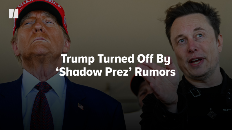 German Chancellor Takes Not-So-Subtle Jab At Elon Musk In New Year's ...