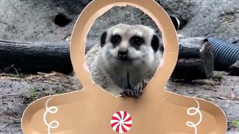 סרטונים פופולריים על מזג אוויר | AccuWeather