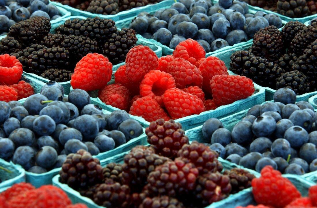 Whatcom raspberries in jeopardy as heatwave could damage crop ...