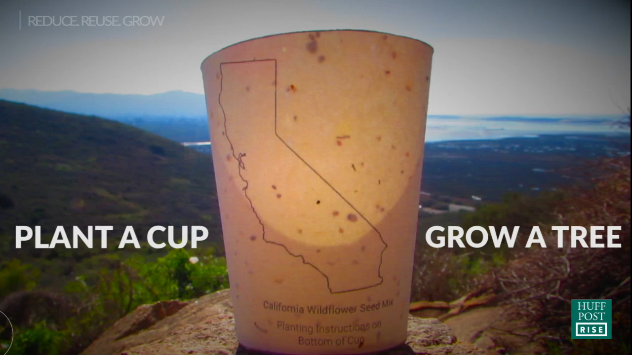 Introducing The World's First Plantable Coffee Cup | HuffPost Videos