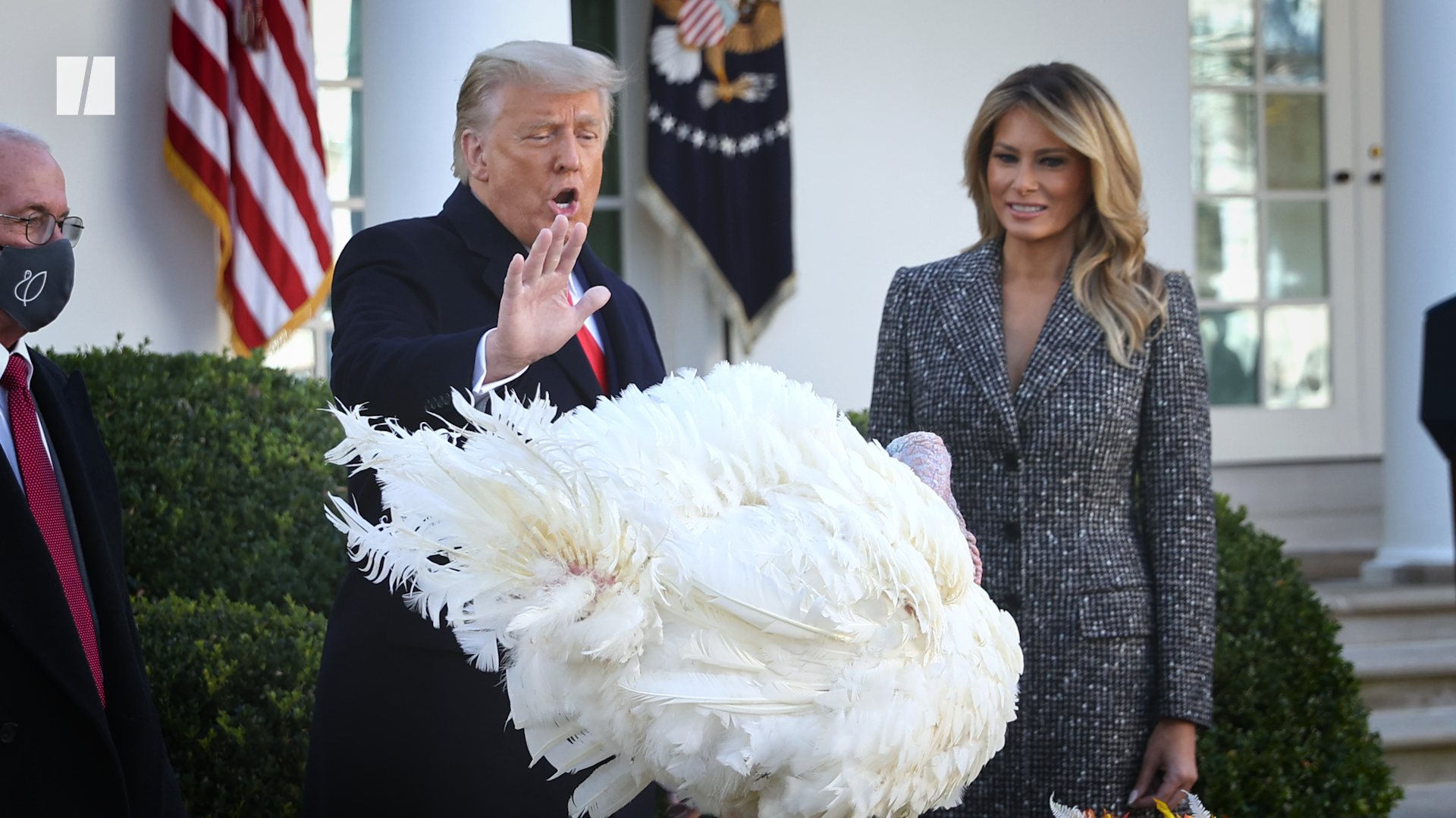 Donald Trump’s Thanksgiving Turkey Pardon Gets Gobbled Up In Hilarious ...