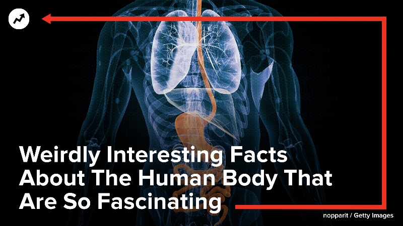 Elle Macpherson Rejected Chemotherapy After Cancer Diagnosis | HuffPost ...