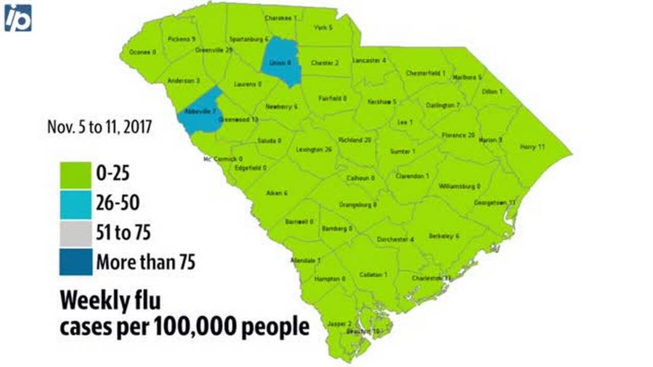 Influenza in South Carolina continues as 'widespread' throughout the ...