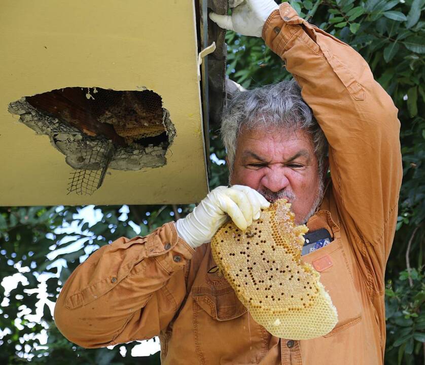 Willie the Bee man | The Wichita Eagle