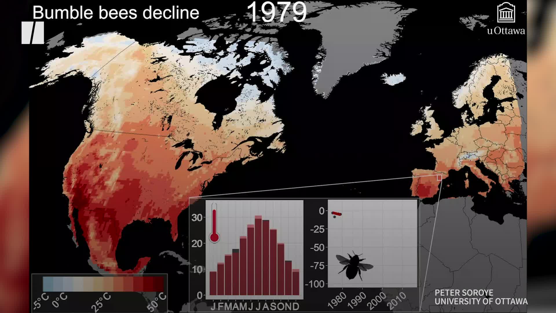 Horrifying Bee Attack Caught On Camera In California | HuffPost Latest News