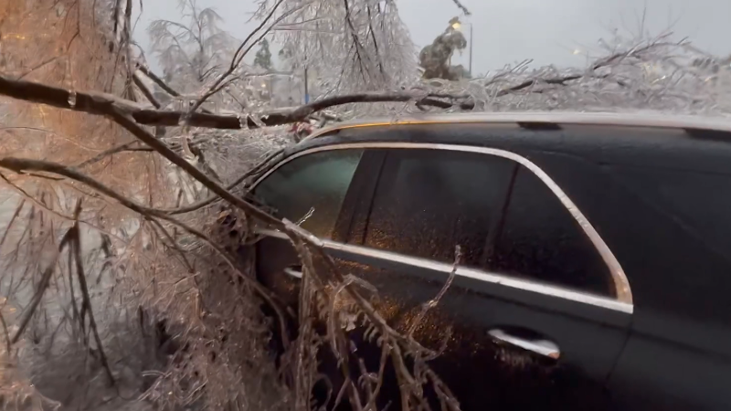Video Zinazovuma Sasa za Hali ya Hewa | AccuWeather