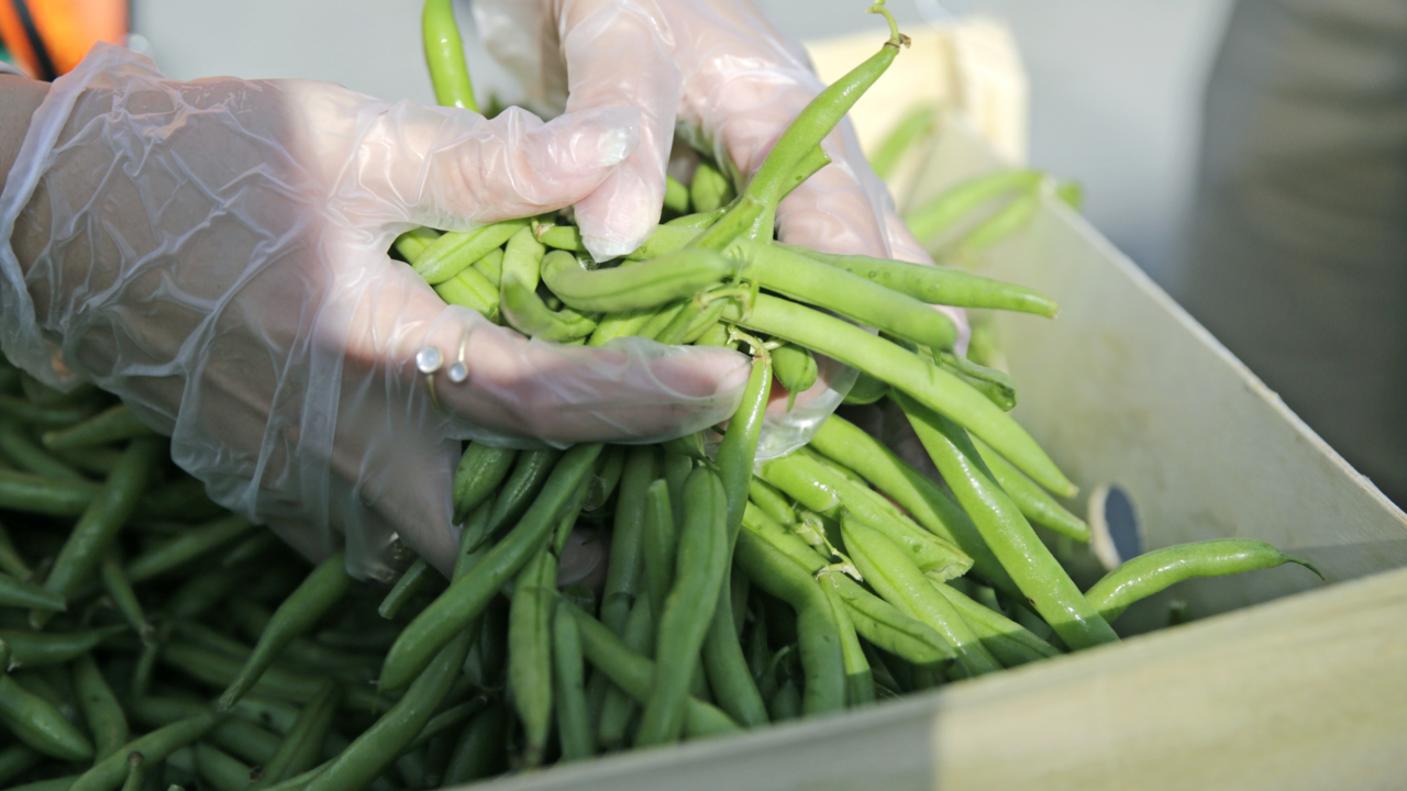 Hialeah host food distribution at Goodlet Park | Miami Herald