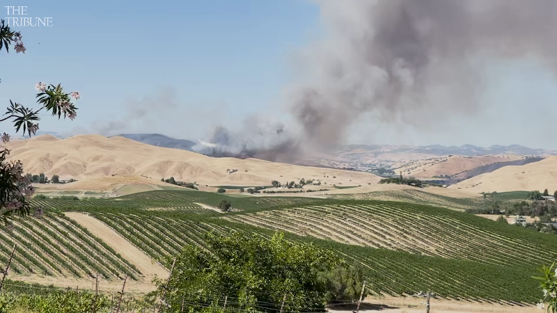 See smoke from Vineyard Fire burning near San Miguel | San Luis Obispo ...