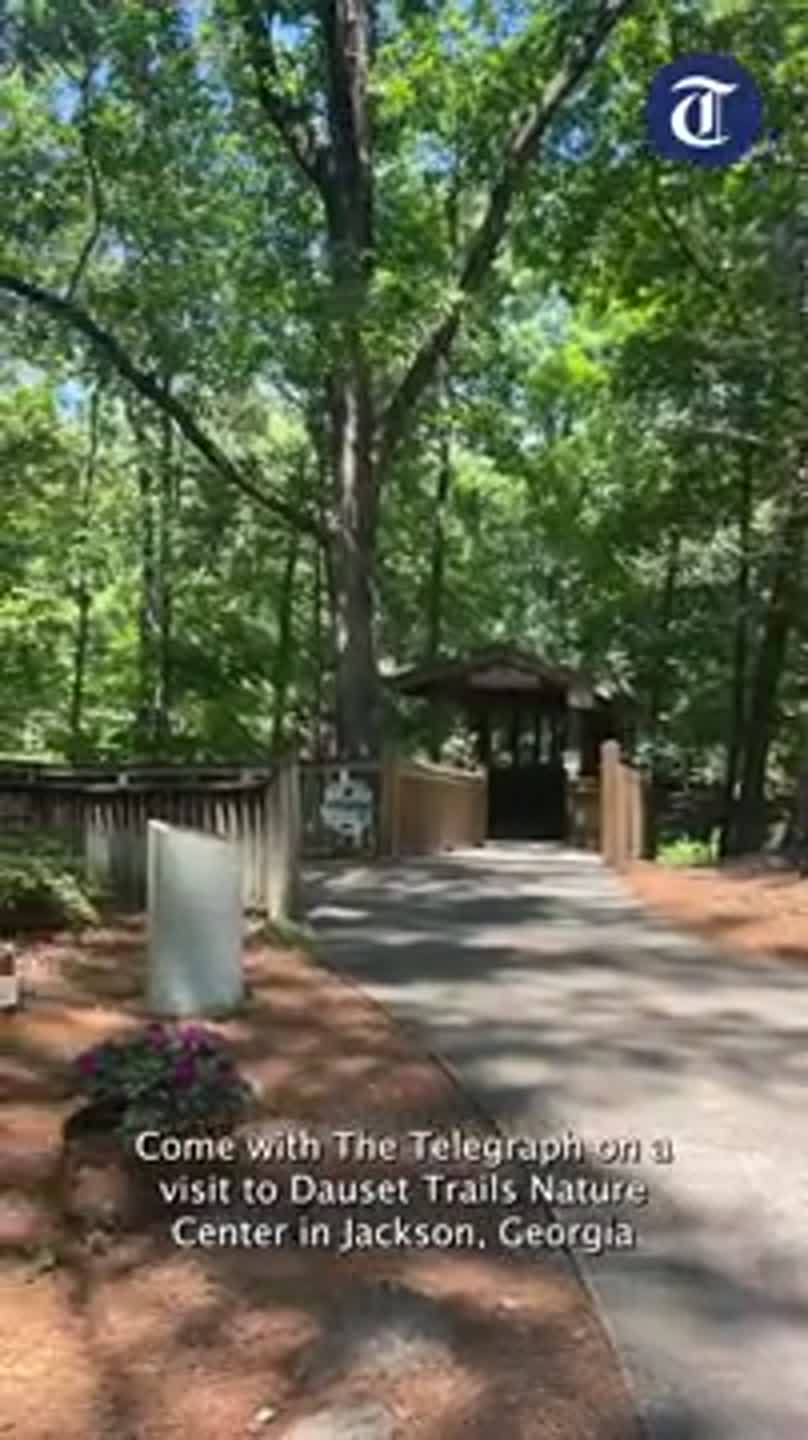 Dauset Trails Nature Center Walk Through Tour in Jackson, GA | Macon ...