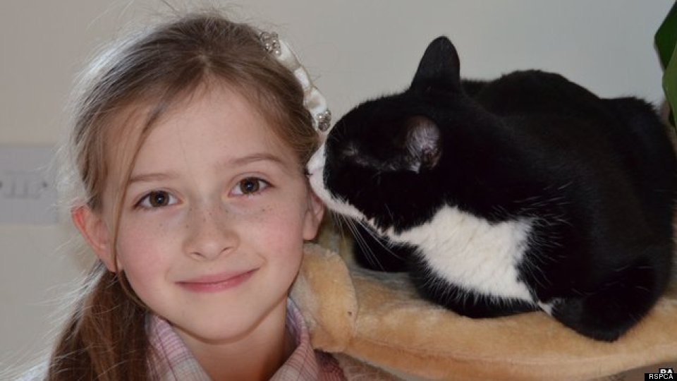 Cat Saves Owner's Life Just Hours After Being Adopted | HuffPost Videos