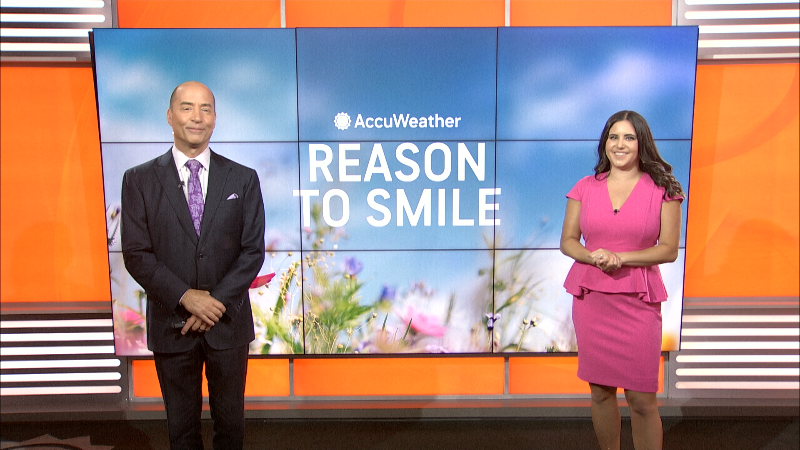 Trending Now Weather Videos | AccuWeather