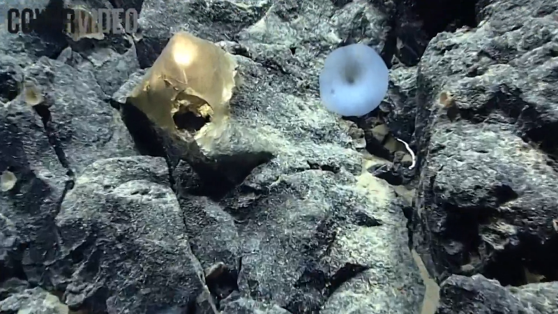 Mystery 'Golden Orb' Still Unidentified After Recovery in Alaska ...