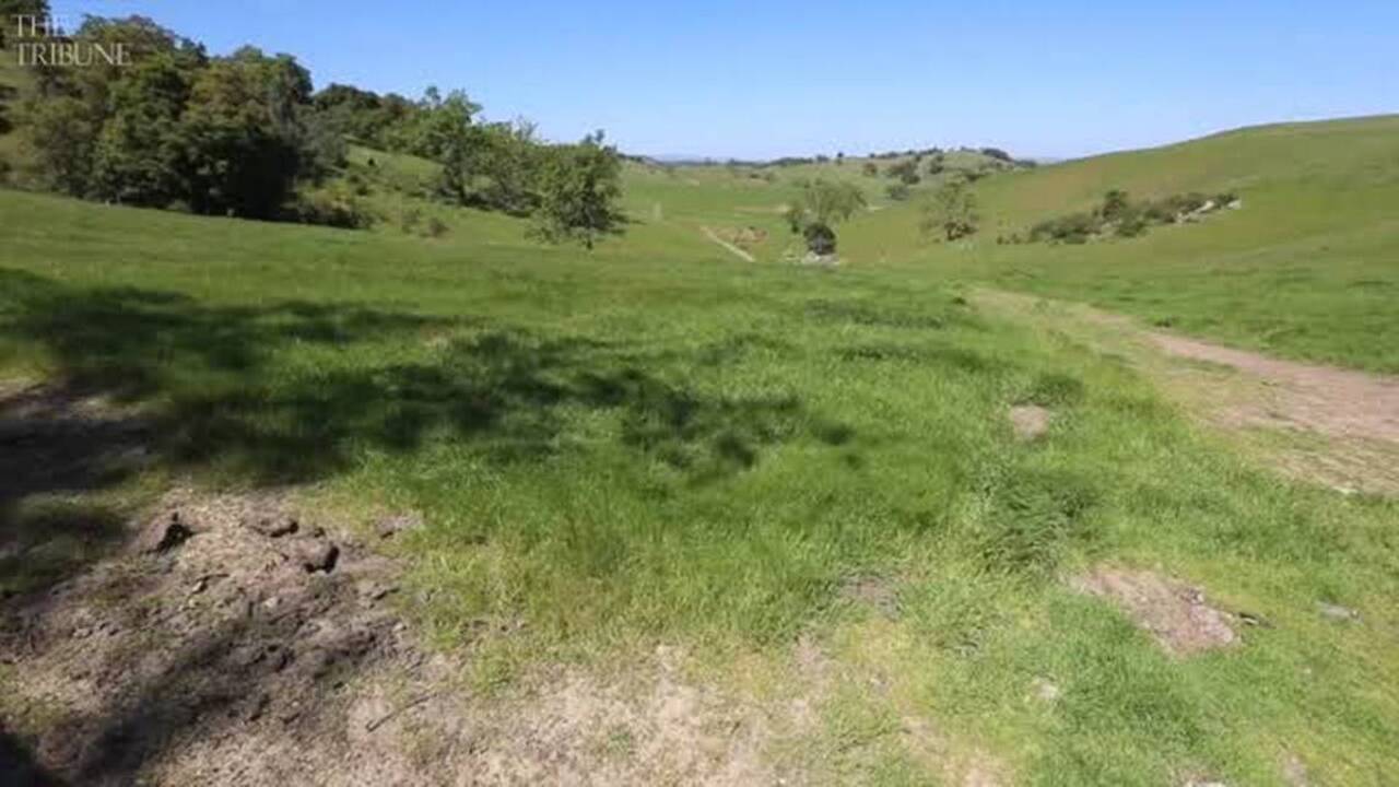 Take a tour of the 3,450-acre Eagle Ranch in Atascadero | San Luis ...