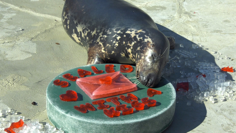 Trending Now Weather Videos | AccuWeather