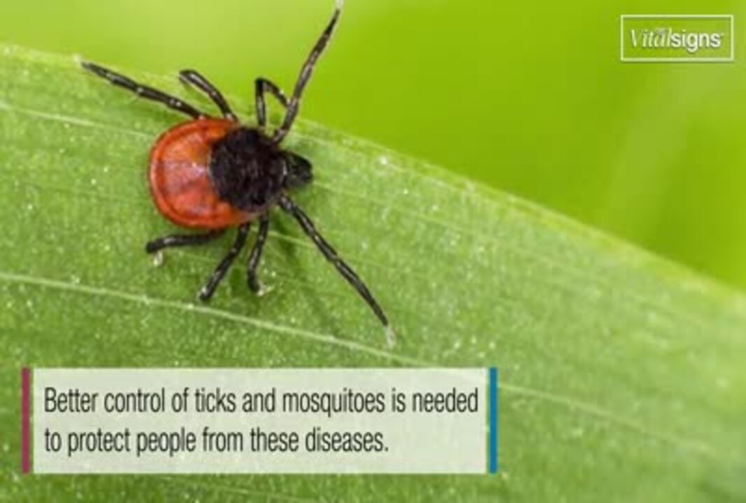 Tick-borne illness on the rise | Idaho Statesman