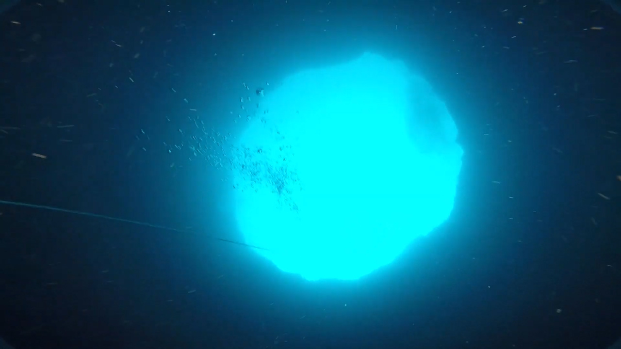 Scientists explore depths of 'blue hole' in dive off Florida's Gulf ...