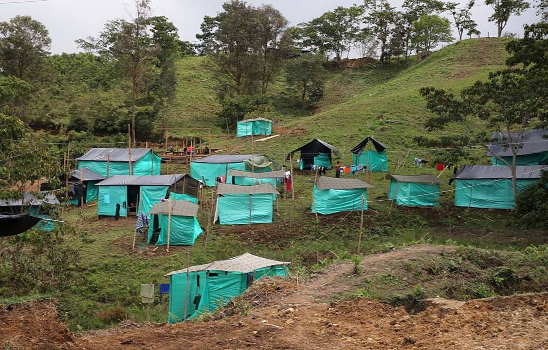 Inside a FARC camp in Colombia | Miami Herald