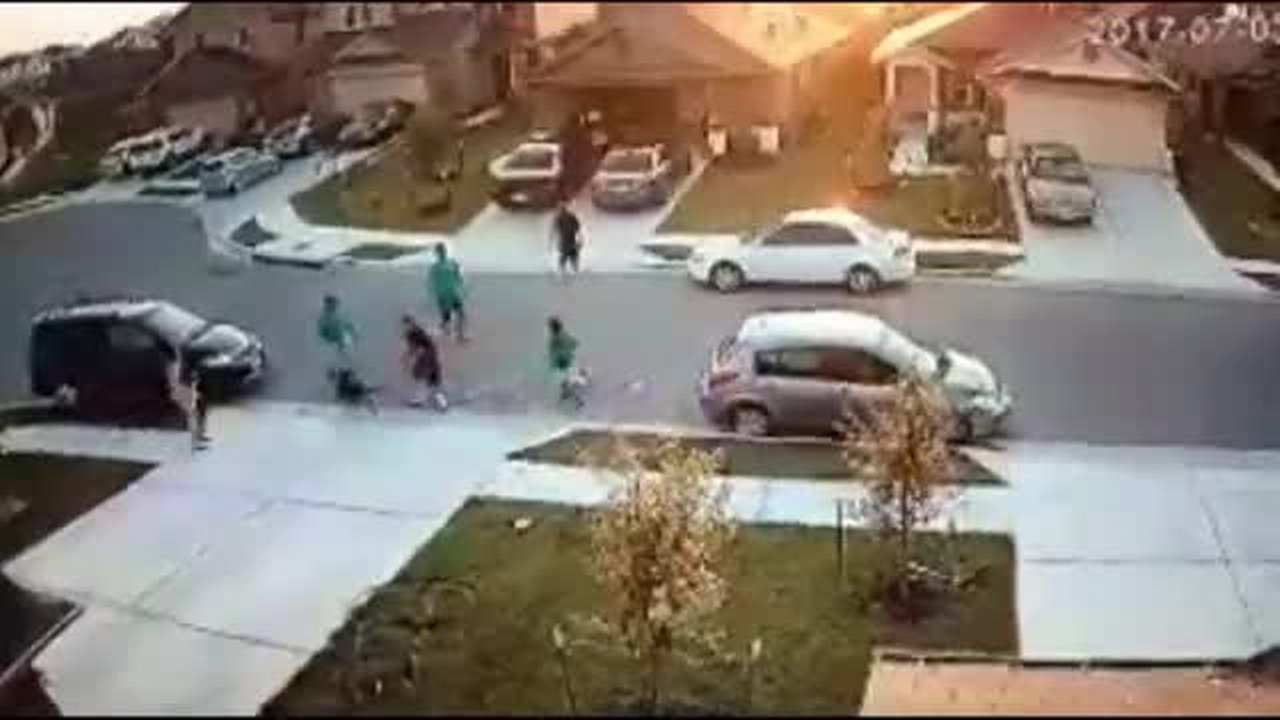 Video captures pit bull attacking young boy | Raleigh News & Observer