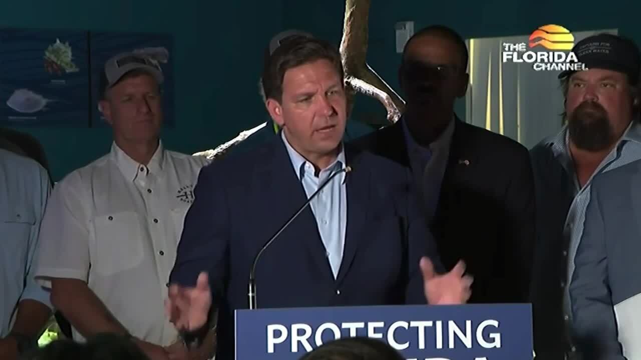 Florida Gov. Ron DeSantis vetoes bill for Everglades restoration ...