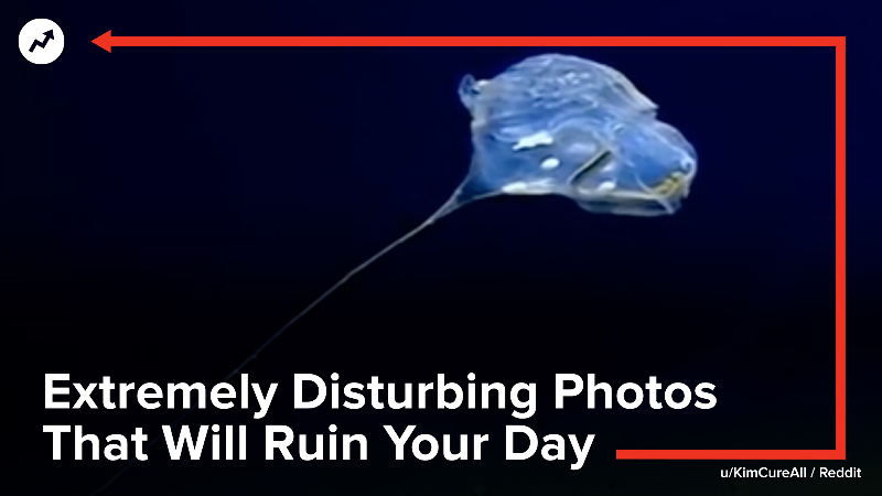 Boxer Dry Humps Opponent On Tyson-Paul Undercard. Fans Aghast ...