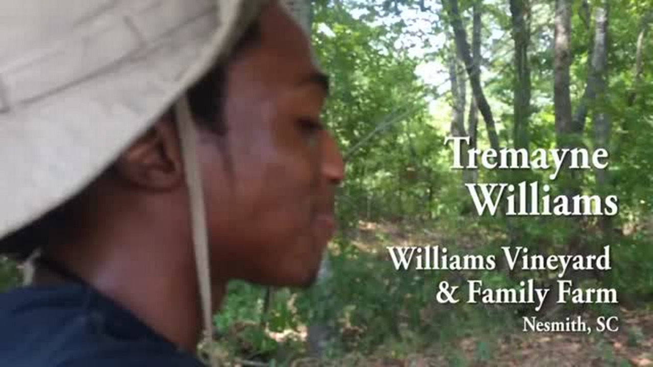 VIDEO: How one man's history brought him back to the family farm in ...