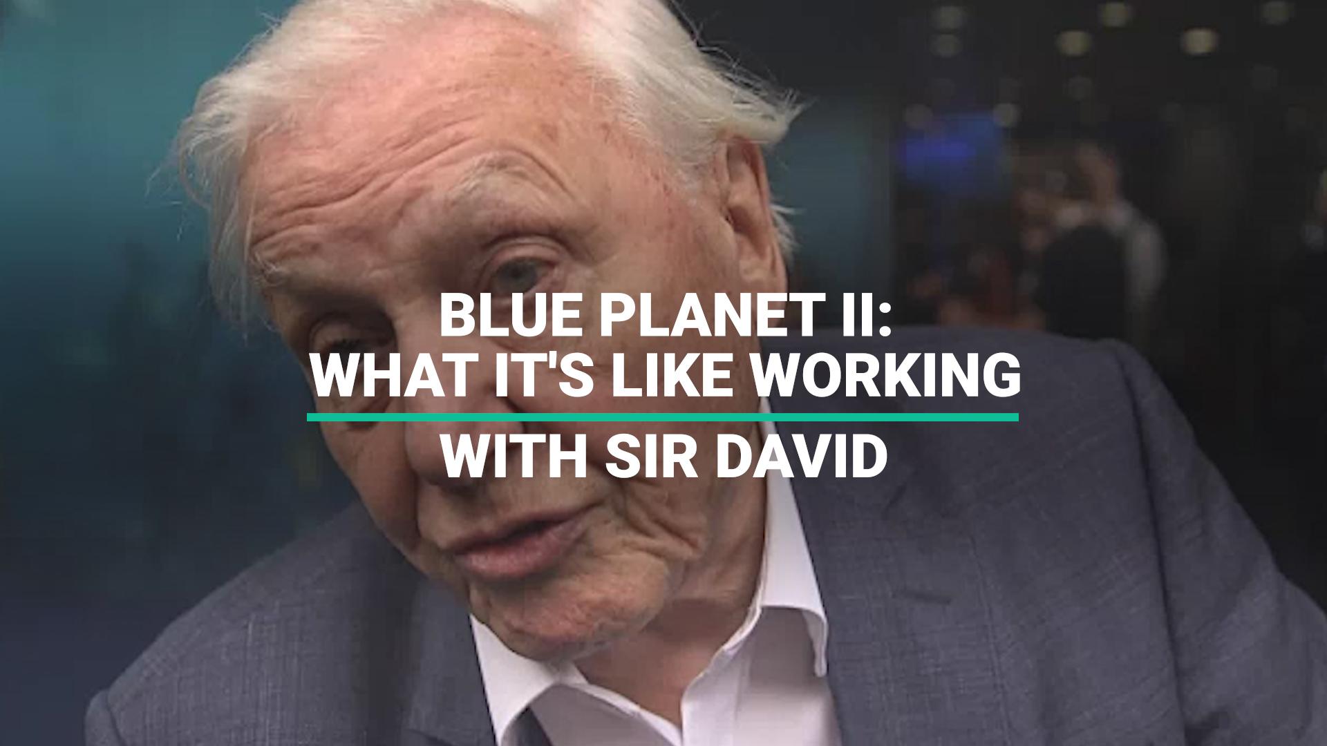 'Blue Planet 2': What It's Like Working With Sir David Attenborough ...